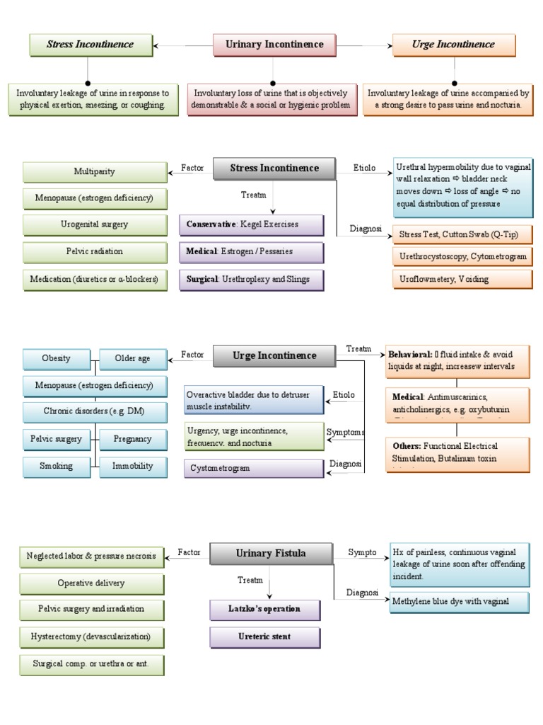 Urinary Incontinence | PDF | Urinary Incontinence | Animal Anatomy