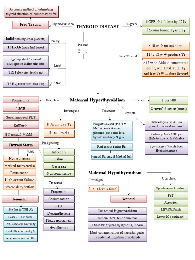Thyroid Disease | PDF | Thyroid | Endocrinology