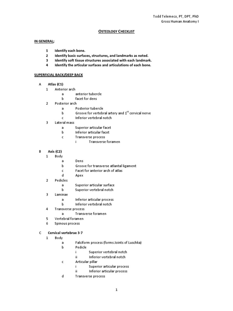 Osteology Checklist (PT603 and PA503) PDF | PDF | Anatomy | Human Anatomy
