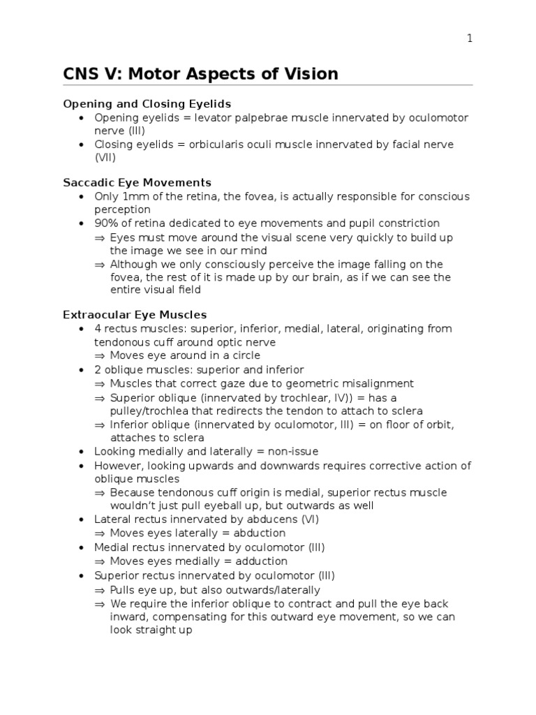 CNS V: Motor Aspects of Vision: Opening and Closing Eyelids | PDF | Ear ...