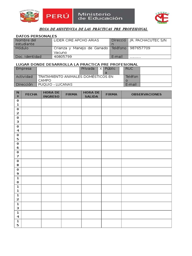 Hoja De Asistencia De Las Prácticas Pre Profesional: Datos Personales