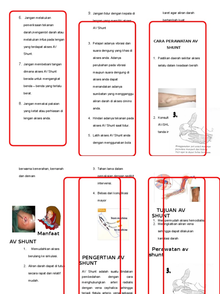 Leafleat Av Shunt | PDF