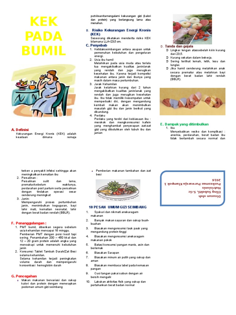 Leaflet Bumil KEK2