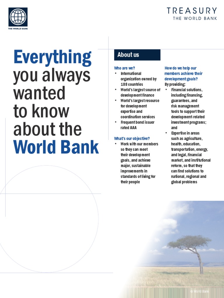 World Bank Facts | PDF | Leverage (Finance) | Banks