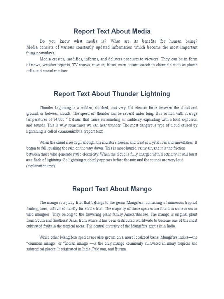 Report Text About | PDF | Giant Panda | Lightning