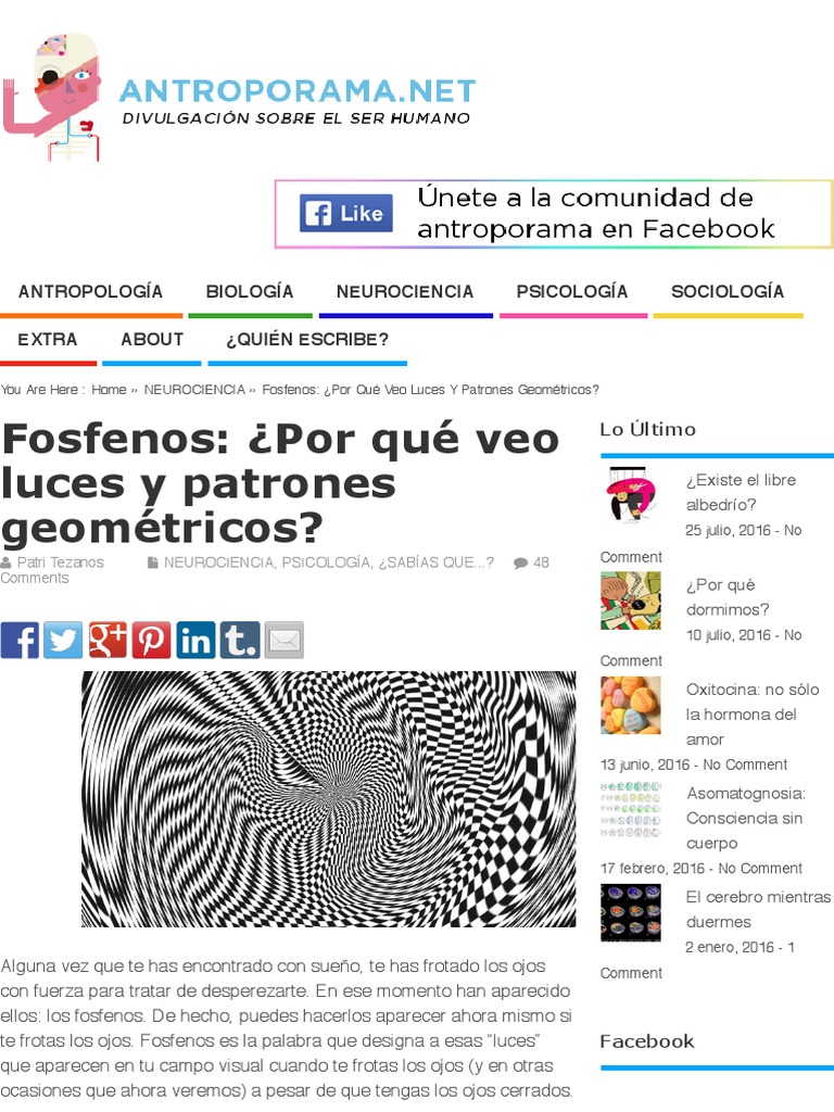 Fosfenos: ¿Por Qué Veo Luces y Patrones Geométricos? - Antroporama ...