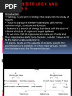 Plant Identification with Dichotomous Key | PDF | Taxa | Botany