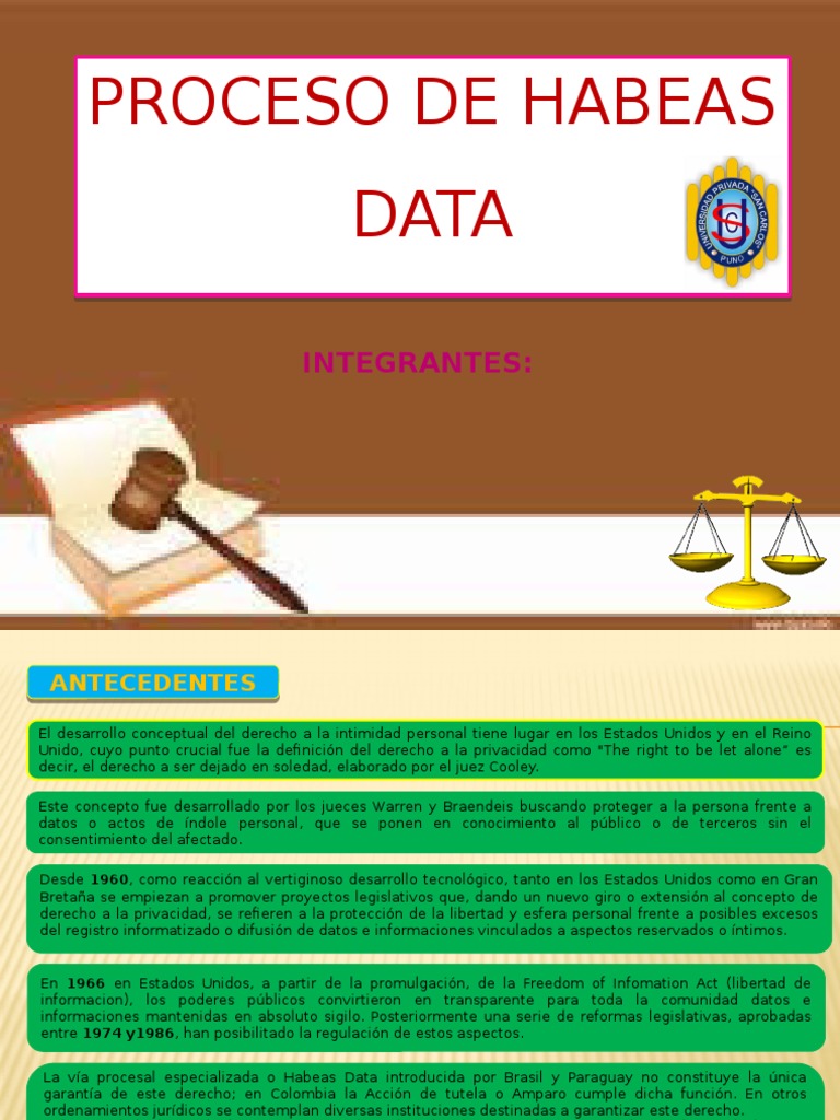 Habeas Data: Origen y Proceso Legal | PDF | Ley procesal | Constitución