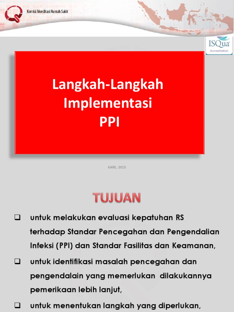Langkah-Langkah Implementasi PPI | PDF