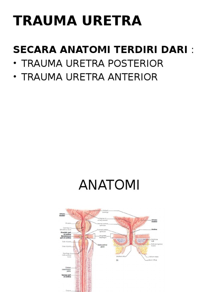Trauma Uretra: Diagnosis & Tindakan | PDF