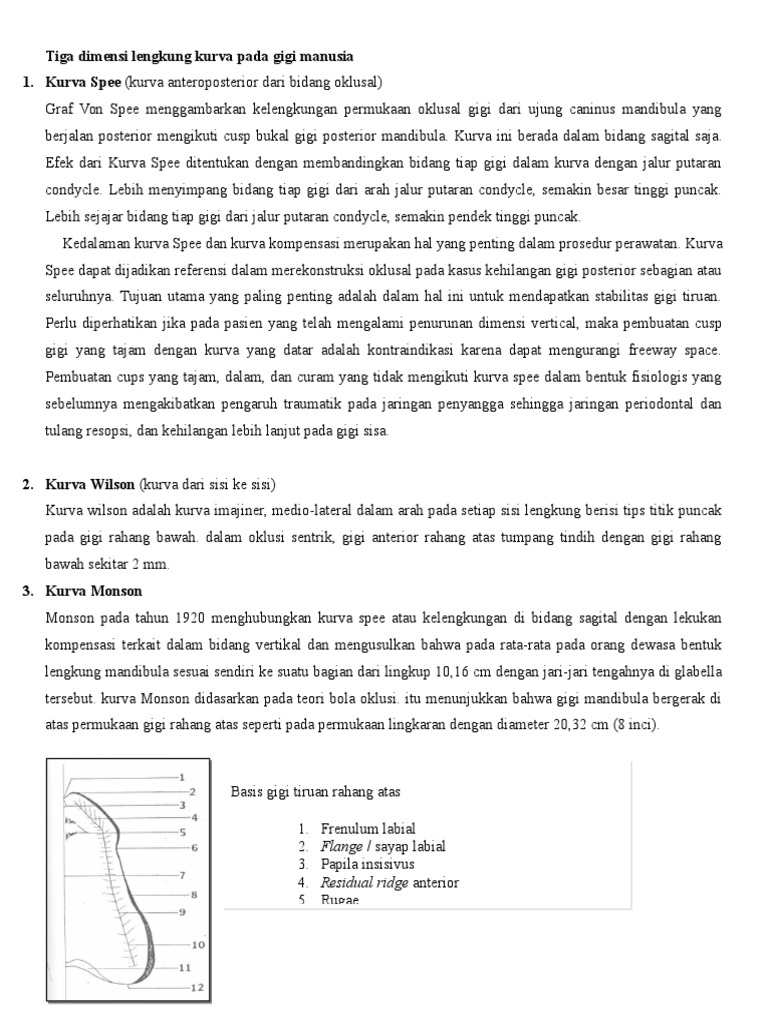 Tiga Dimensi Lengkung Kurva Pada Gigi Manusia | PDF