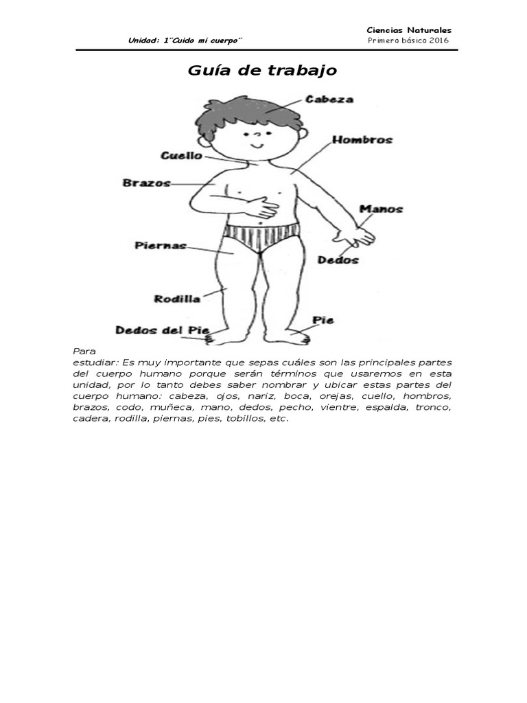 Cuido mi cuerpo: guía para niños | PDF