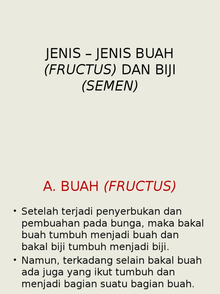 Kuliah Buah (Fructus) Dan Biji (Semen | PDF