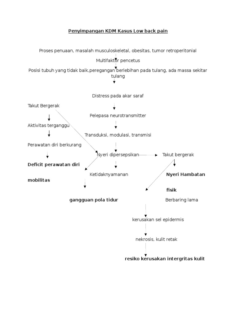 Penyimpangan KDM Teori Low Back Pai1 | PDF