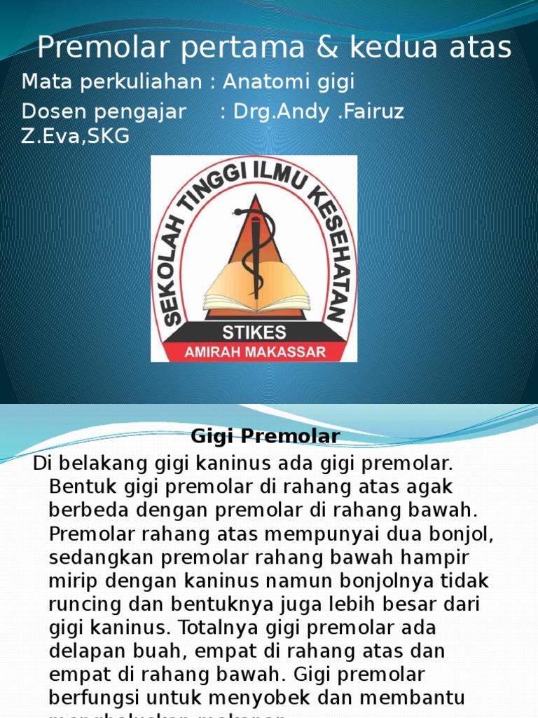 Anatomi Gigi Premolar 1 & 2 Atas | PDF