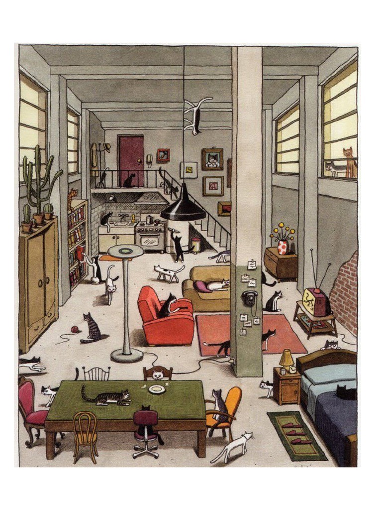 A1 Dónde Está El Gato (Poster) | PDF