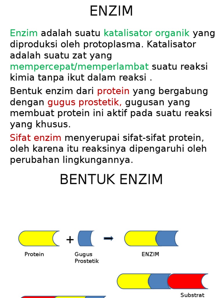 Pengertian dan Sifat Enzim | PDF