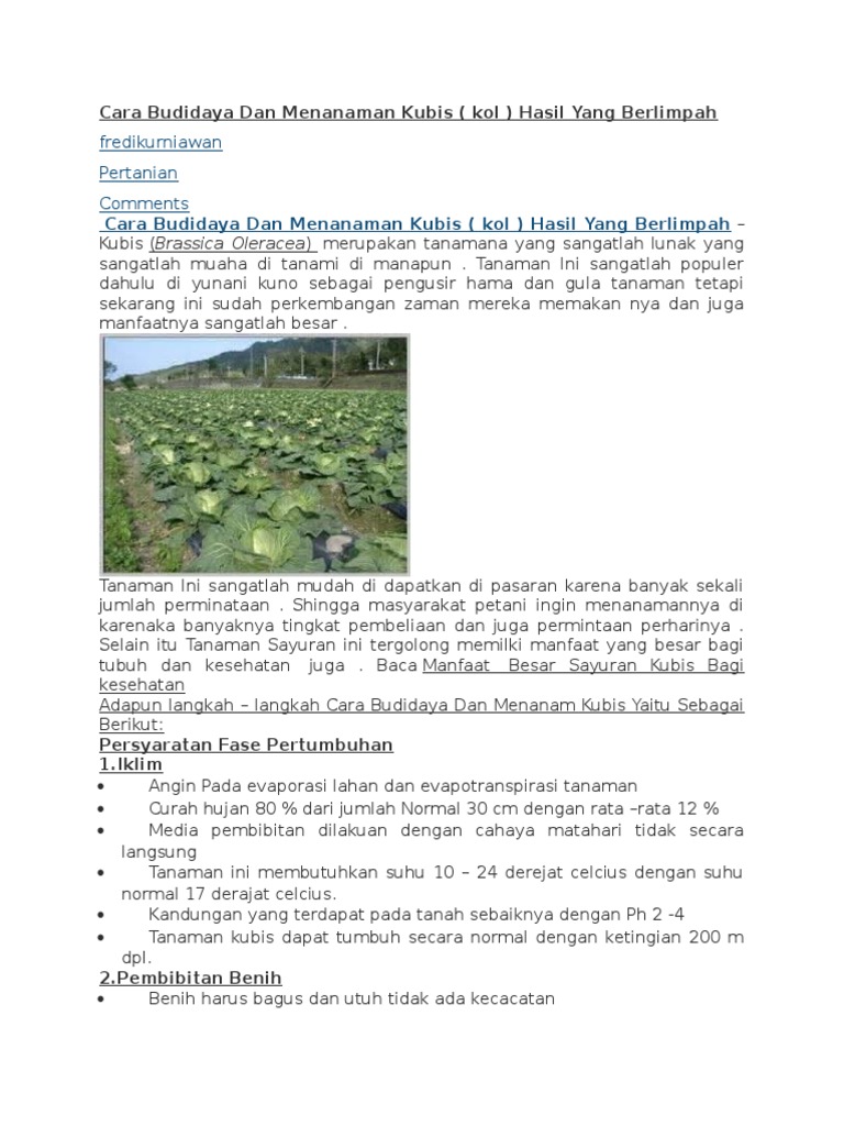 Cara Budidaya Dan Menanaman Kubis | PDF | Griya & Taman