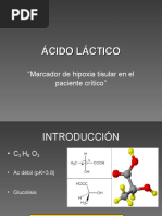 Hiperlactatemia: Causas y Tratamiento | PDF | Ácido láctico | Fisiología