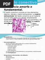 Tipos de Células: Lábiles, Estables y Permanentes | PDF | Relaciones ...