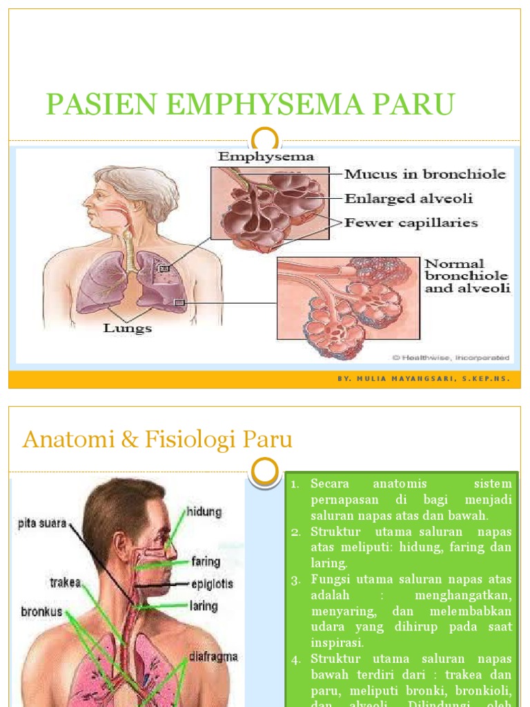 Emfisema Paru: Definisi dan Epidemiologi | PDF | Sains & Matematika