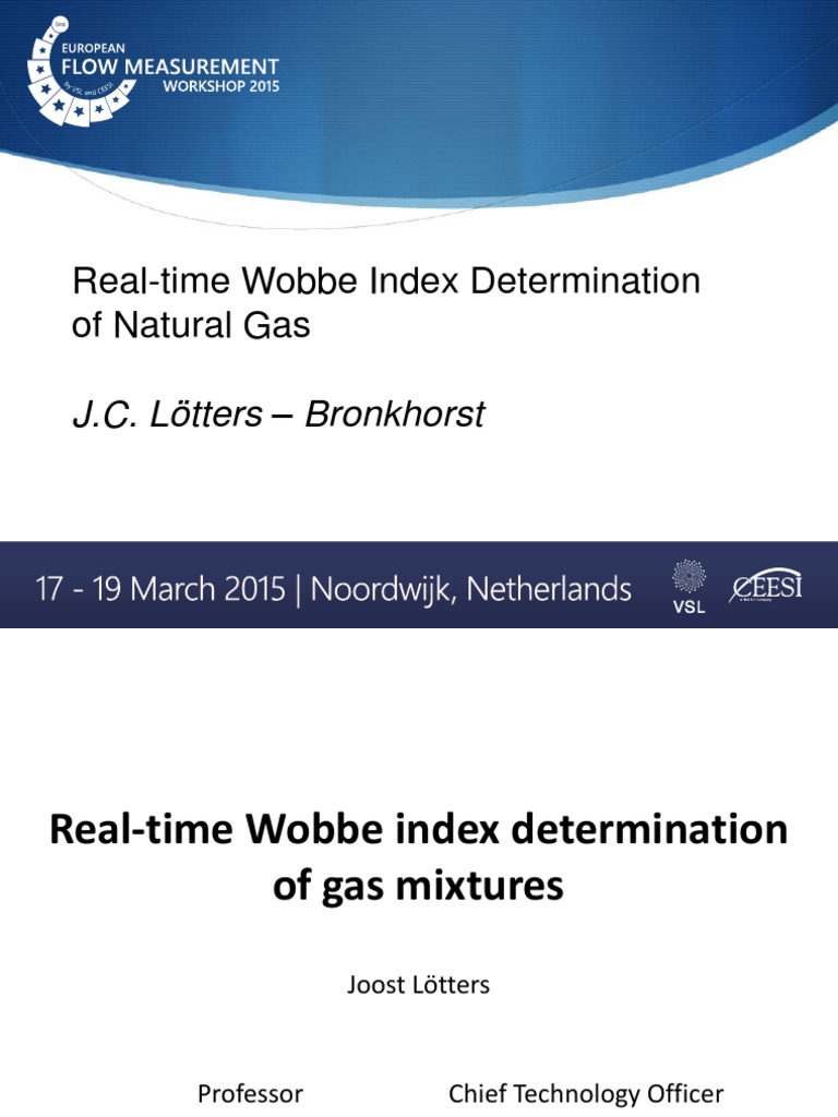 Wobbe Index Meter | Download Free PDF | Flow Measurement | Gases