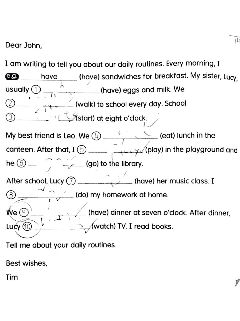 Primary 3 English Grammar | PDF