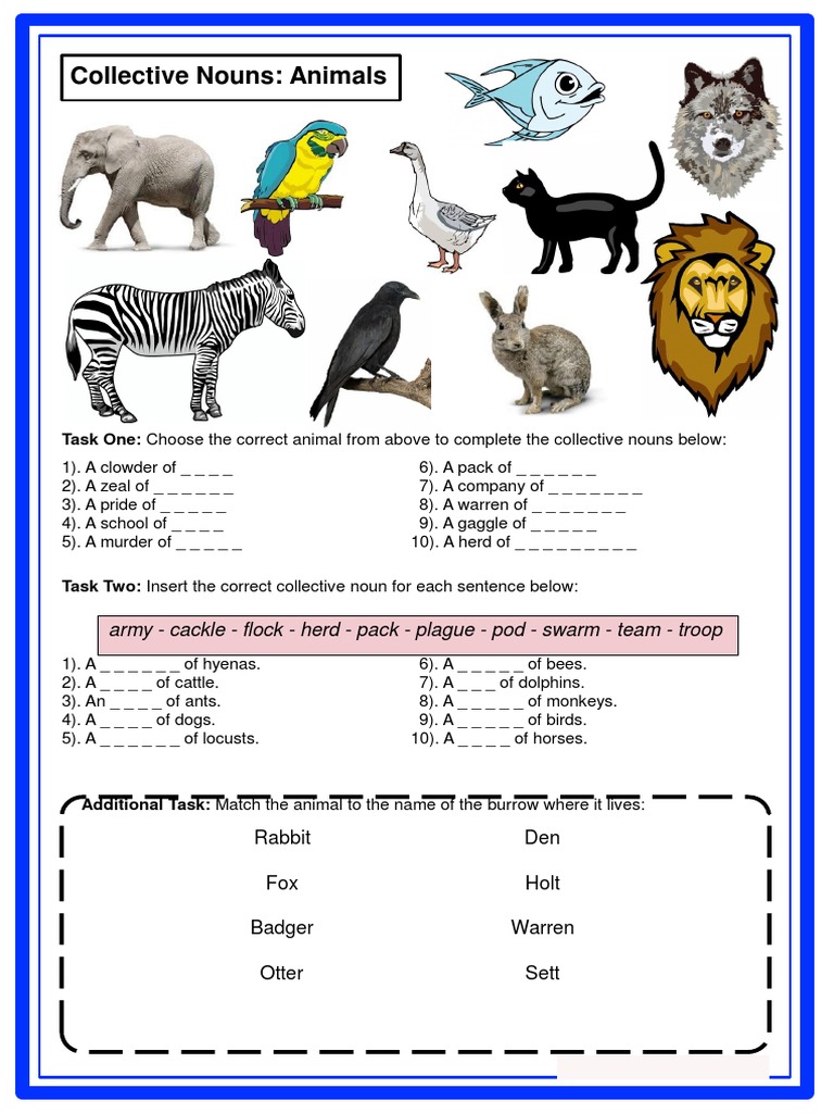 Collective Nouns for Animals Worksheet | PDF | Organisms | Nature