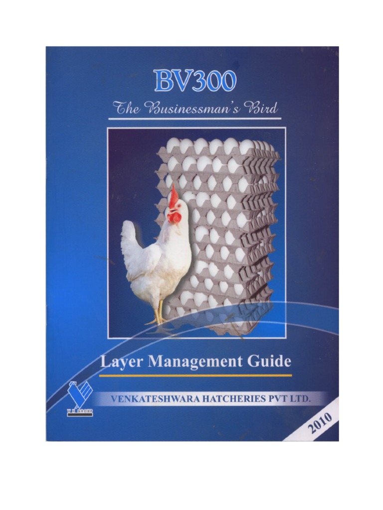 Bv300 Manual | PDF