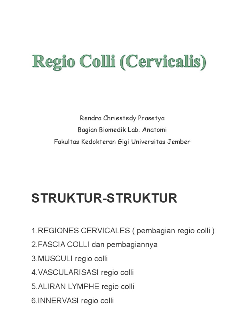 Colli Region | PDF