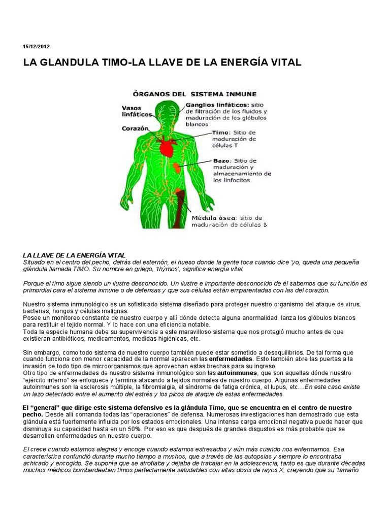 La Glandula Timo Pdf Enfermedad Autoinmune Sistema Inmune