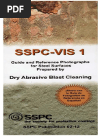 SSPC Guide 15 2020 | PDF
