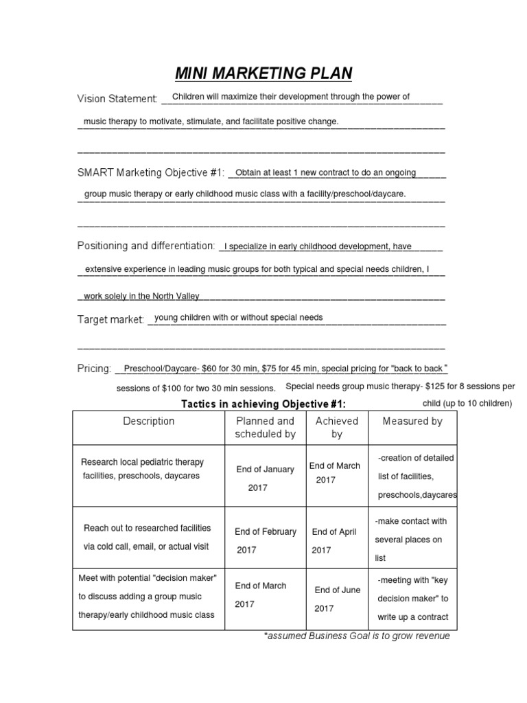 MINI MARKETING PLAN Individualized PDF Special Education Day Care