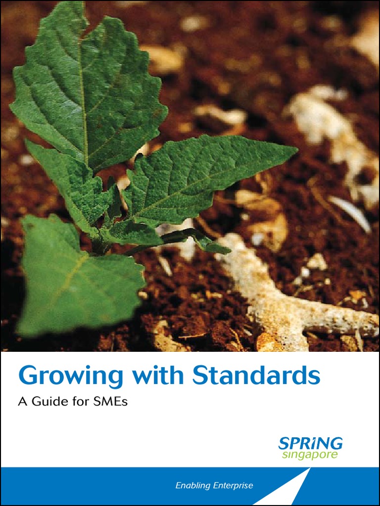 Sme Guide 2010 PDF | PDF | Standardization | Standards Organization