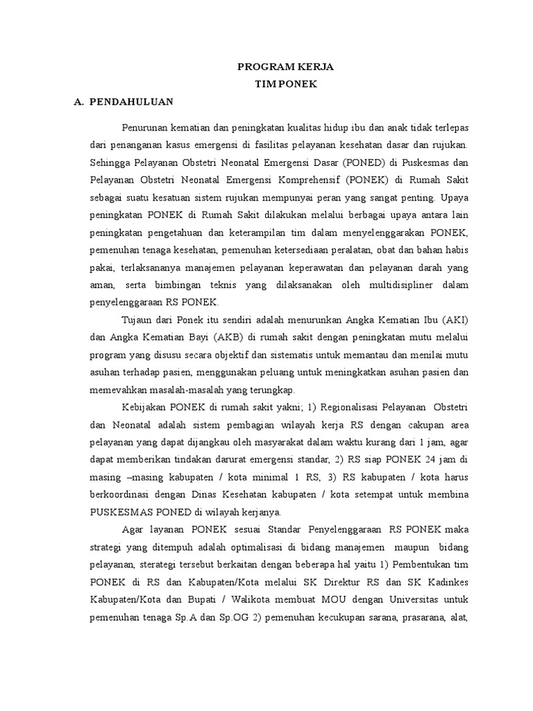 Program Kerja Tim Ponek | PDF