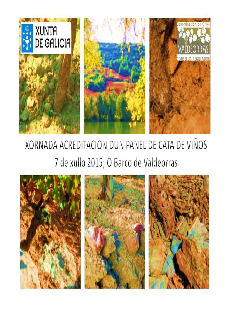 Validacion Cata Panel Check 2015 | PDF | Gusto | Ingeniería de ...