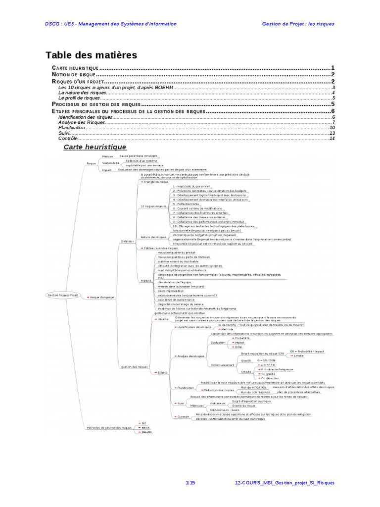 Gestion des Risques en Projet SI | PDF | Risque | Gestion des risques