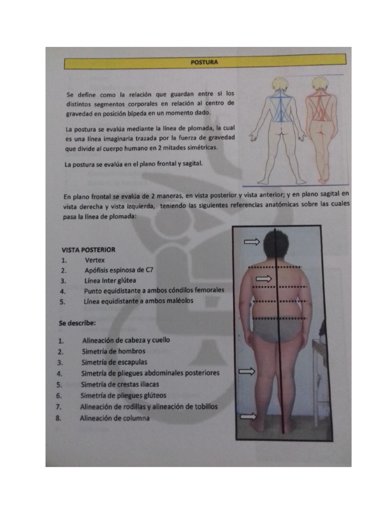 Evaluacion Postural | PDF