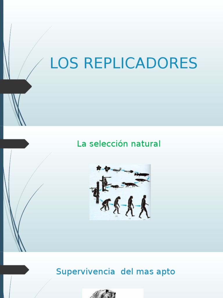 Los Replicadores | PDF | Evolución | Moléculas