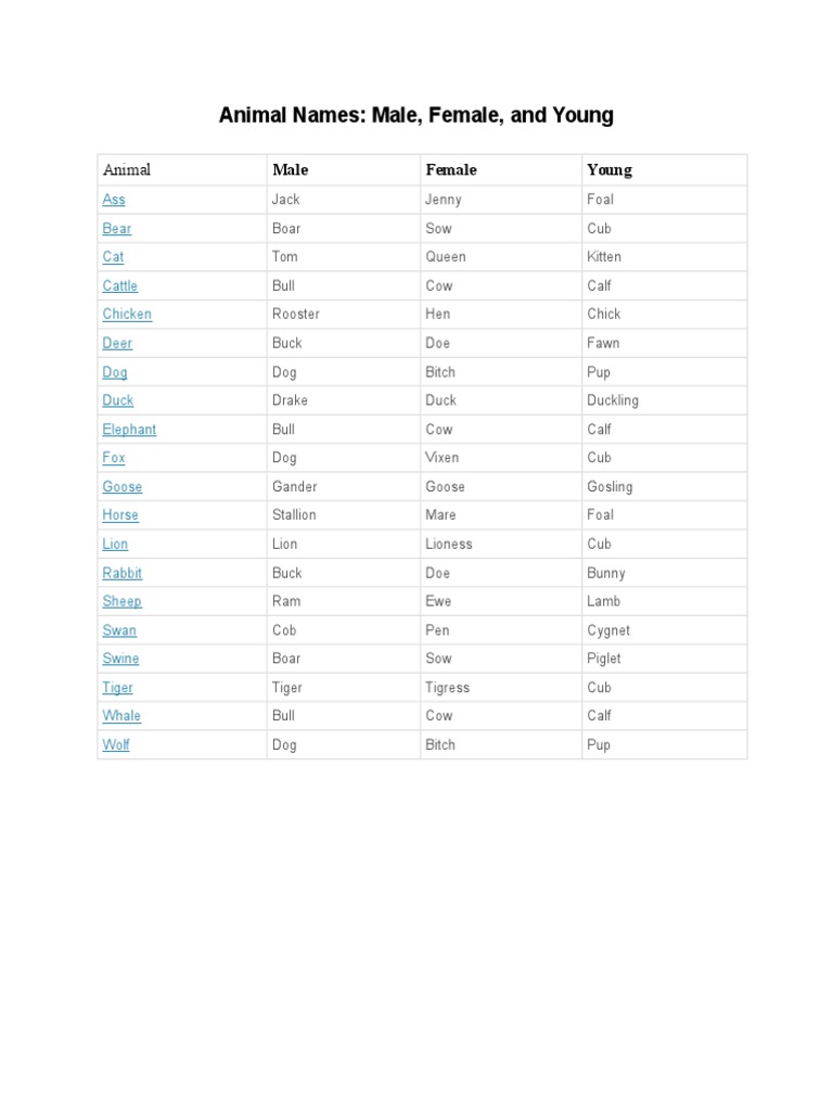 Animal Names: Male, Female, and Young | PDF