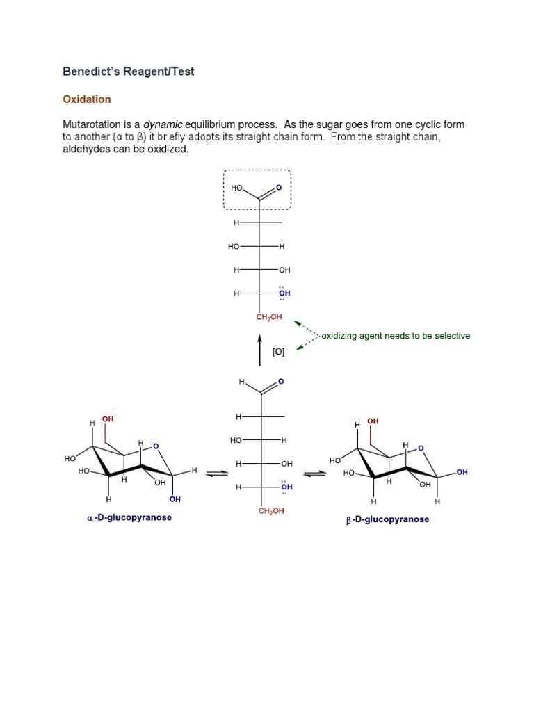 Benedict's Reagent/Test: Oxidation | PDF | Acid Dissociation Constant ...
