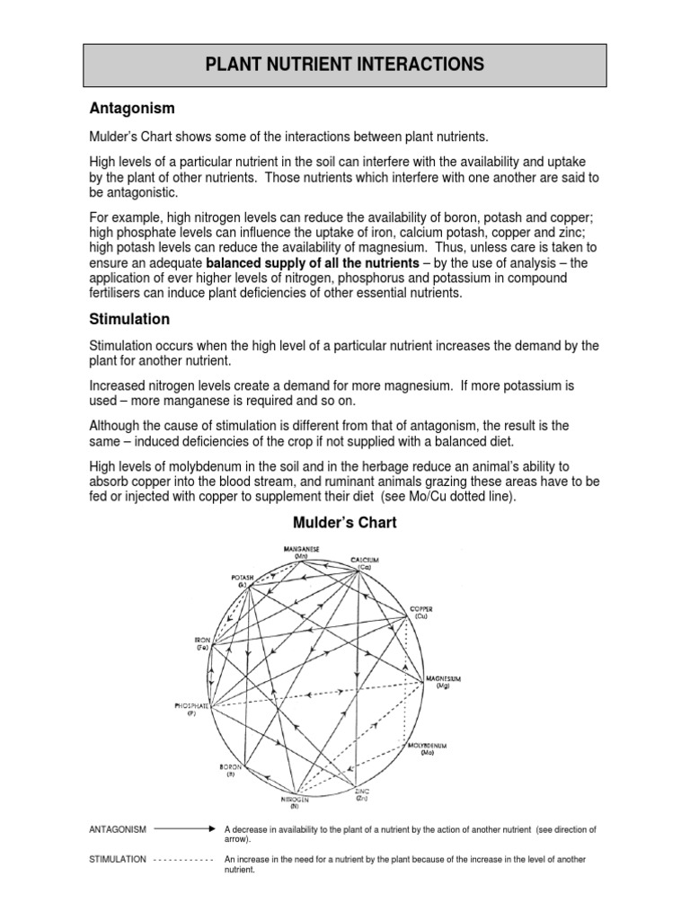 Nutrient Interactions PDF | PDF