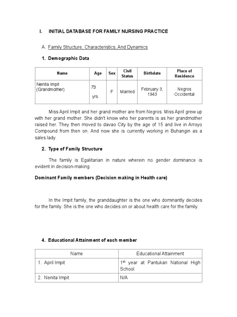 I. Initial Database For Family Nursing Practice | PDF | Toilet | Nutrition