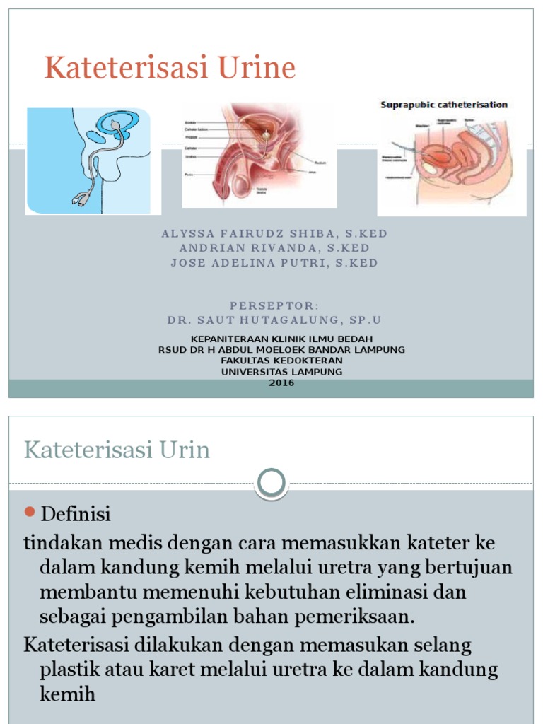 Kateterisasi Urine PPT Part 1 | PDF