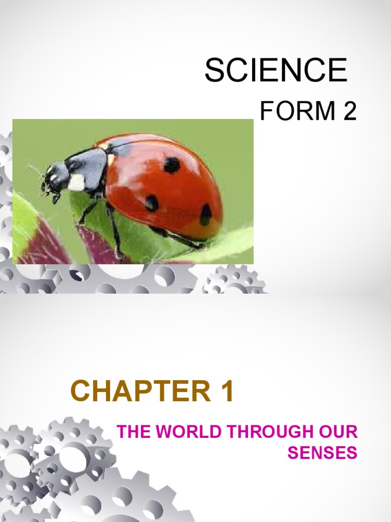 Chapter 1 Science Form 2 | PDF | Stimulus (Physiology) | Senses