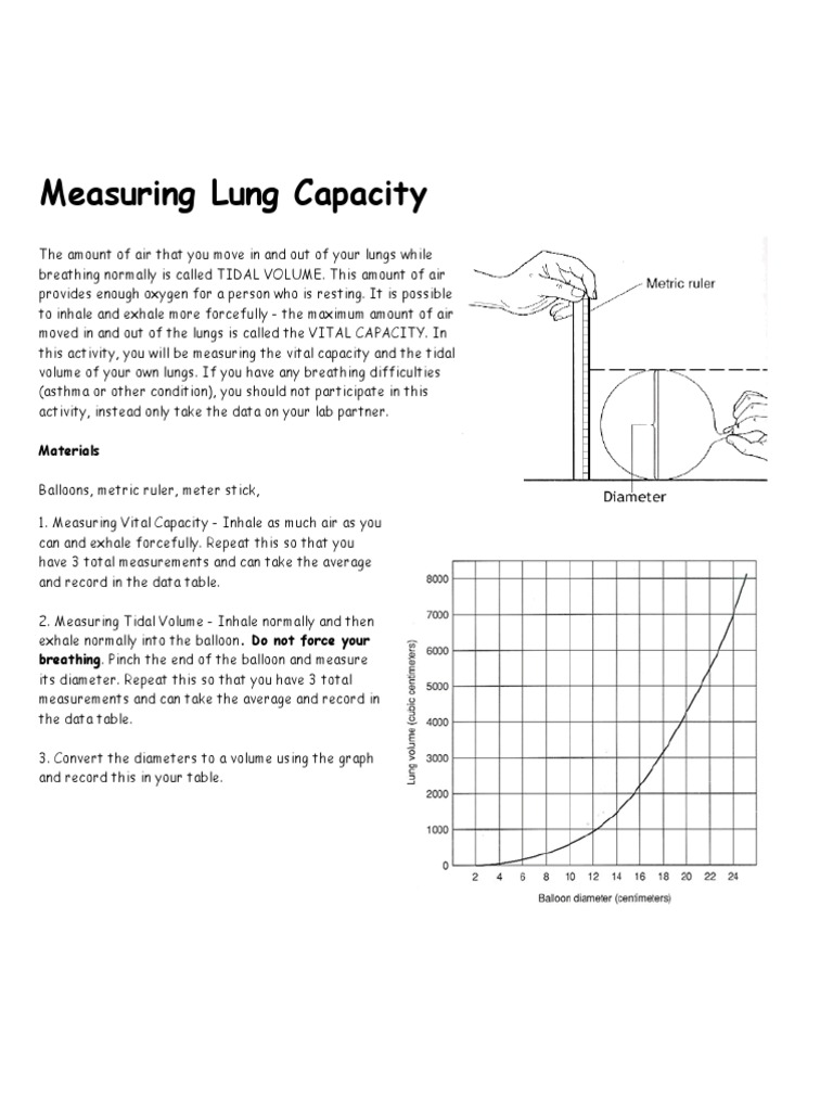 Measuring Lung Capacity Lab | PDF