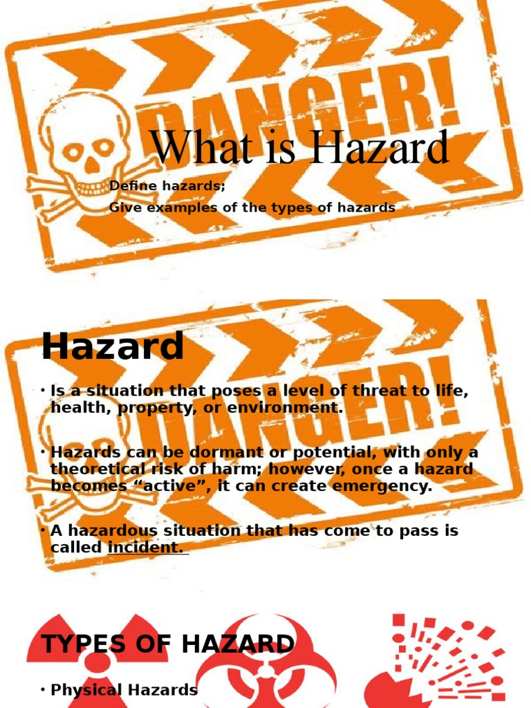 Understanding Hazards and Examples | PDF