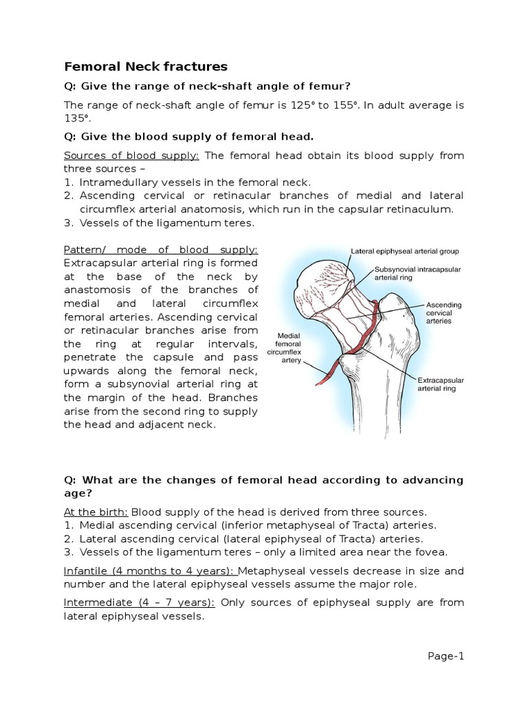 Femoral Neck Fractures | PDF | Hip | Human Anatomy