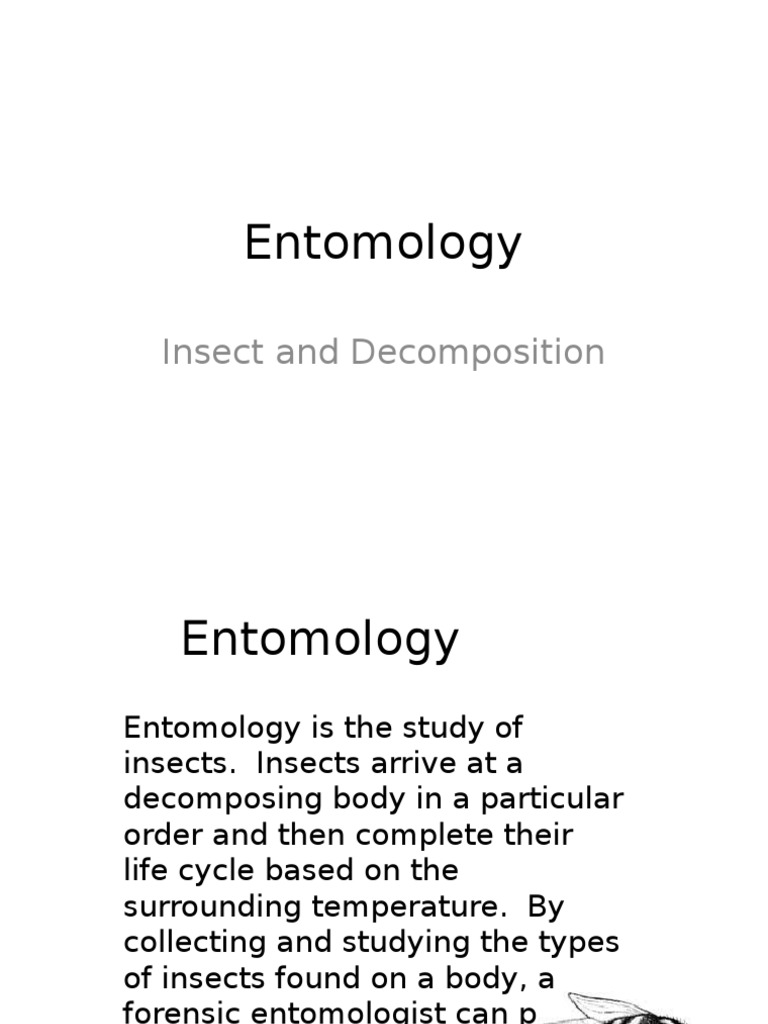 Entomology: Insect and Decomposition | PDF | Decomposition | Beetle