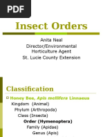 Insect Order Dichotomous Key | PDF | Insects | Arthropods